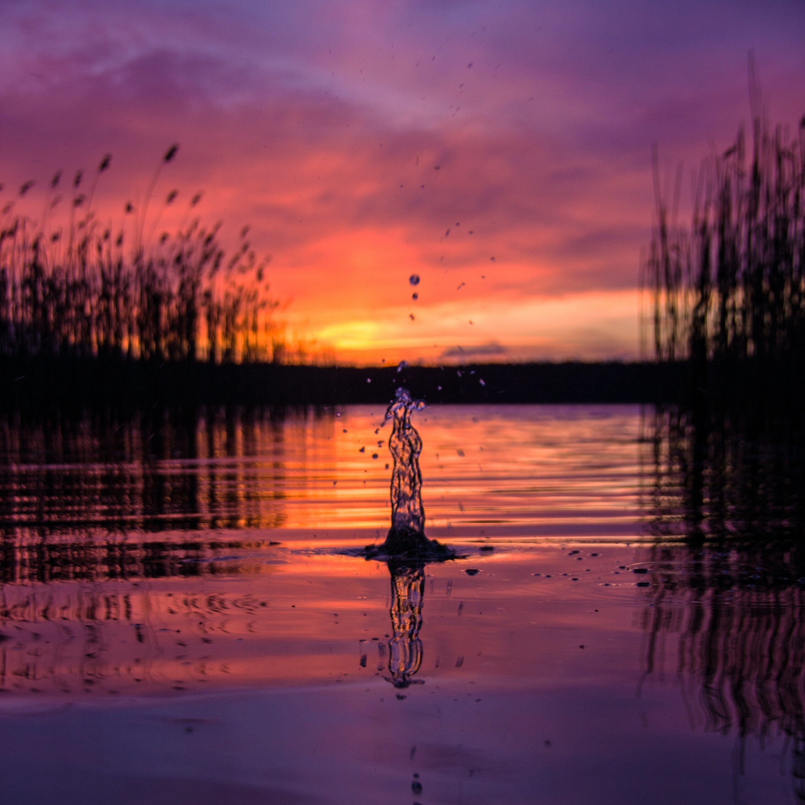 Ecological Spirituality - Sisters of Mercy