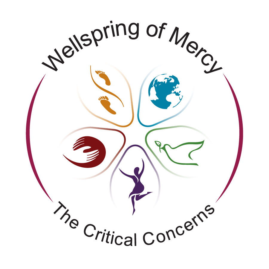 The Critical Concerns: A Wellspring of Mercy - Sisters of Mercy