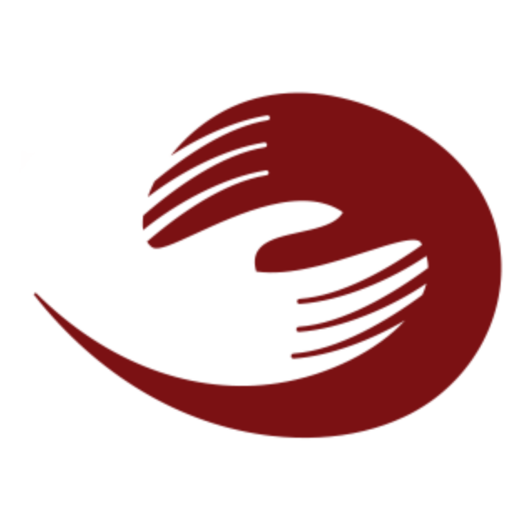 Mercy Day 2024: The Critical Concerns - A Wellspring of Mercy - Sisters ...