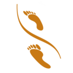 Mercy Day 2024: The Critical Concerns - A Wellspring of Mercy - Sisters ...