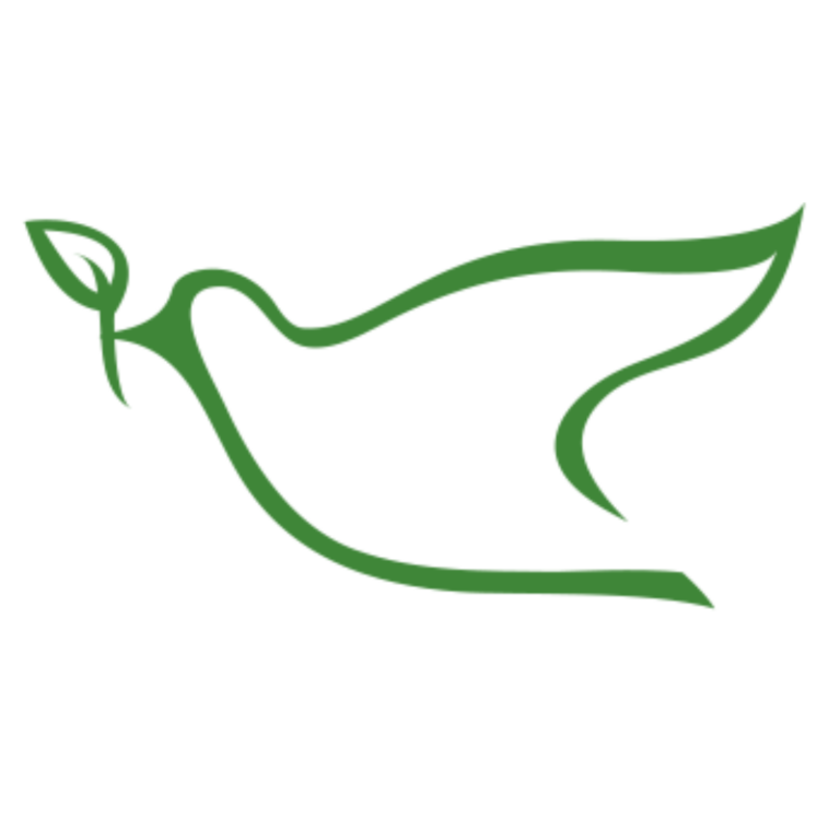 Mercy Day 2024: The Critical Concerns - A Wellspring of Mercy - Sisters ...