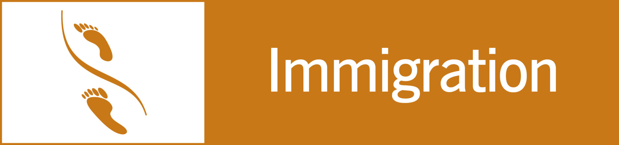 Voter Reflection Guide - Sisters of Mercy