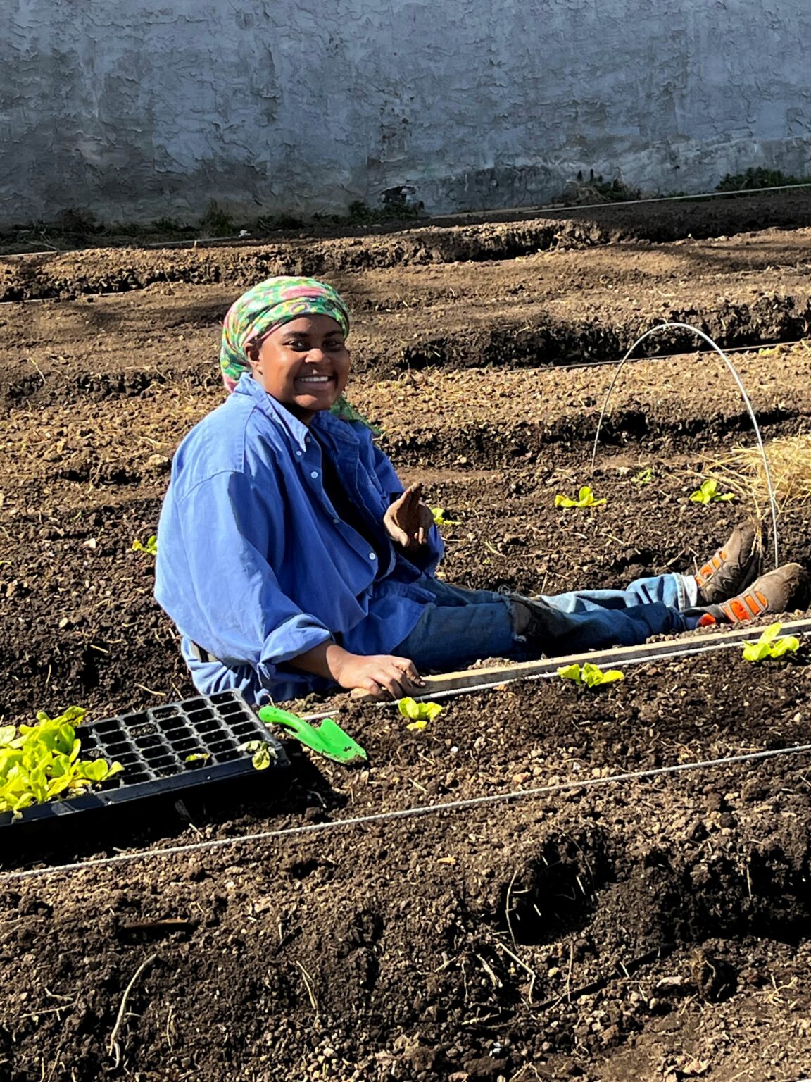 Laudato Si’ and Sanctuary Farm Philadelphia - Sisters of Mercy